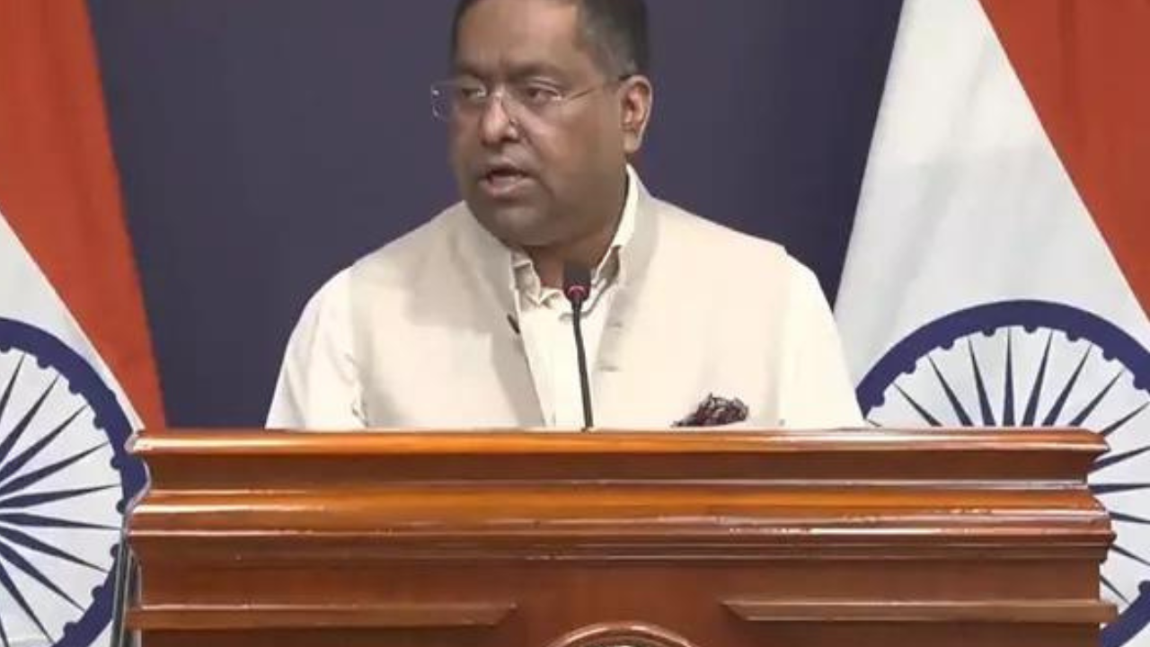 Responsibility of interim government to protect Hindus: India on damage ...