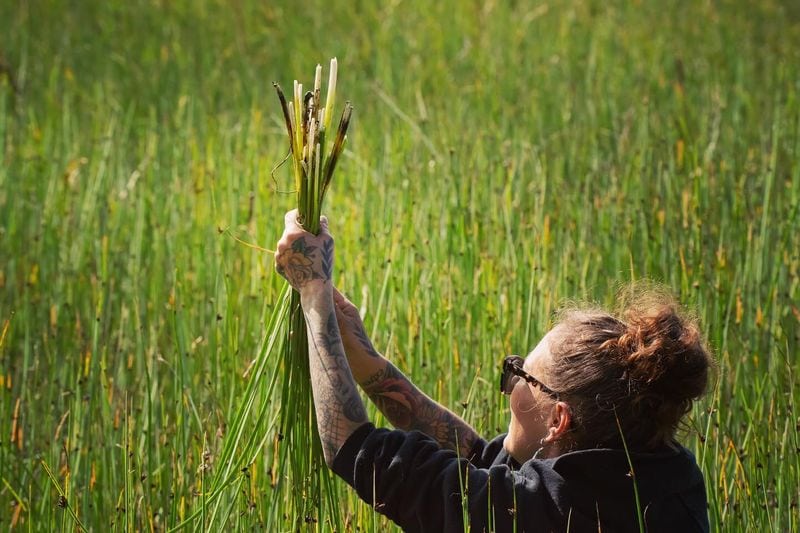 10 Plants That Are Extremely Sacred to Native Americans