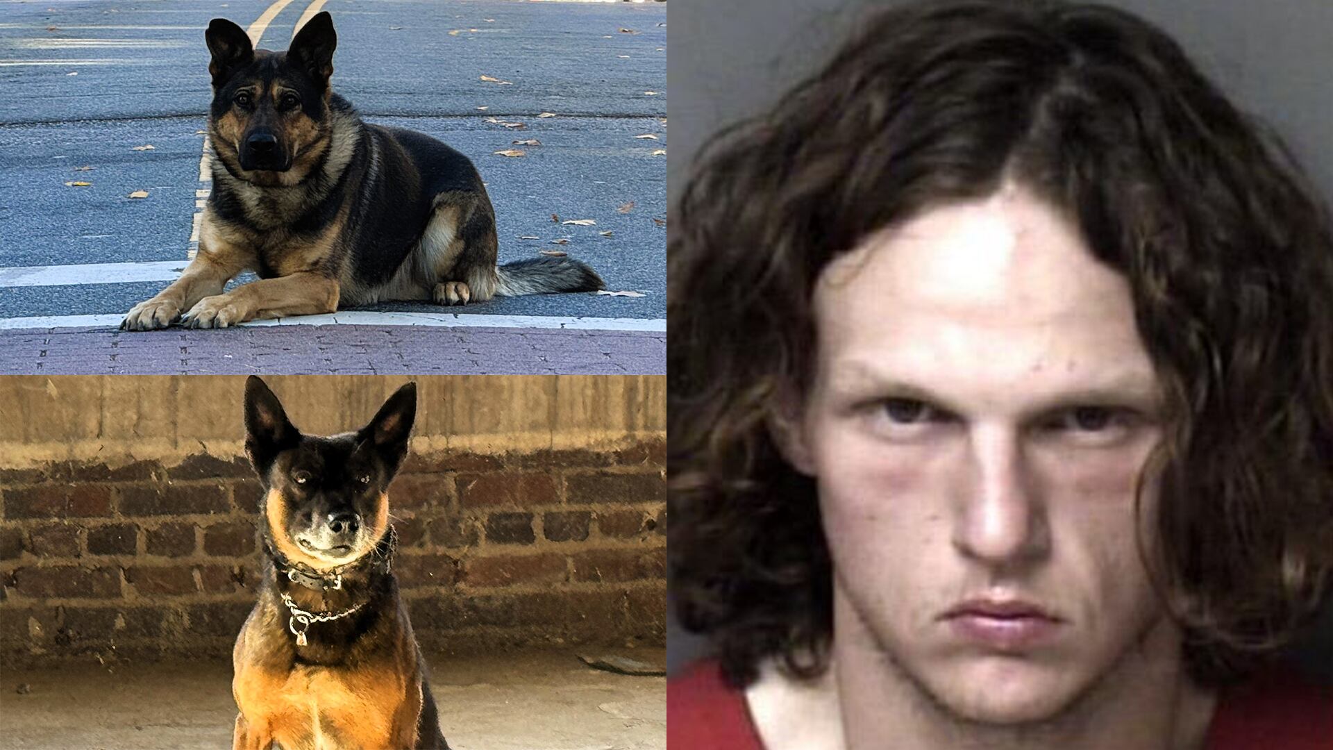 Man stole car while father, kids grabbed snacks inside Gaston County ...