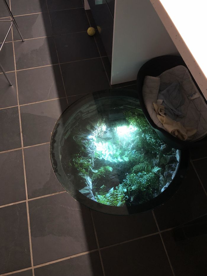 36 Times People Found Hidden Treasures Left By Previous Owners Inside ...