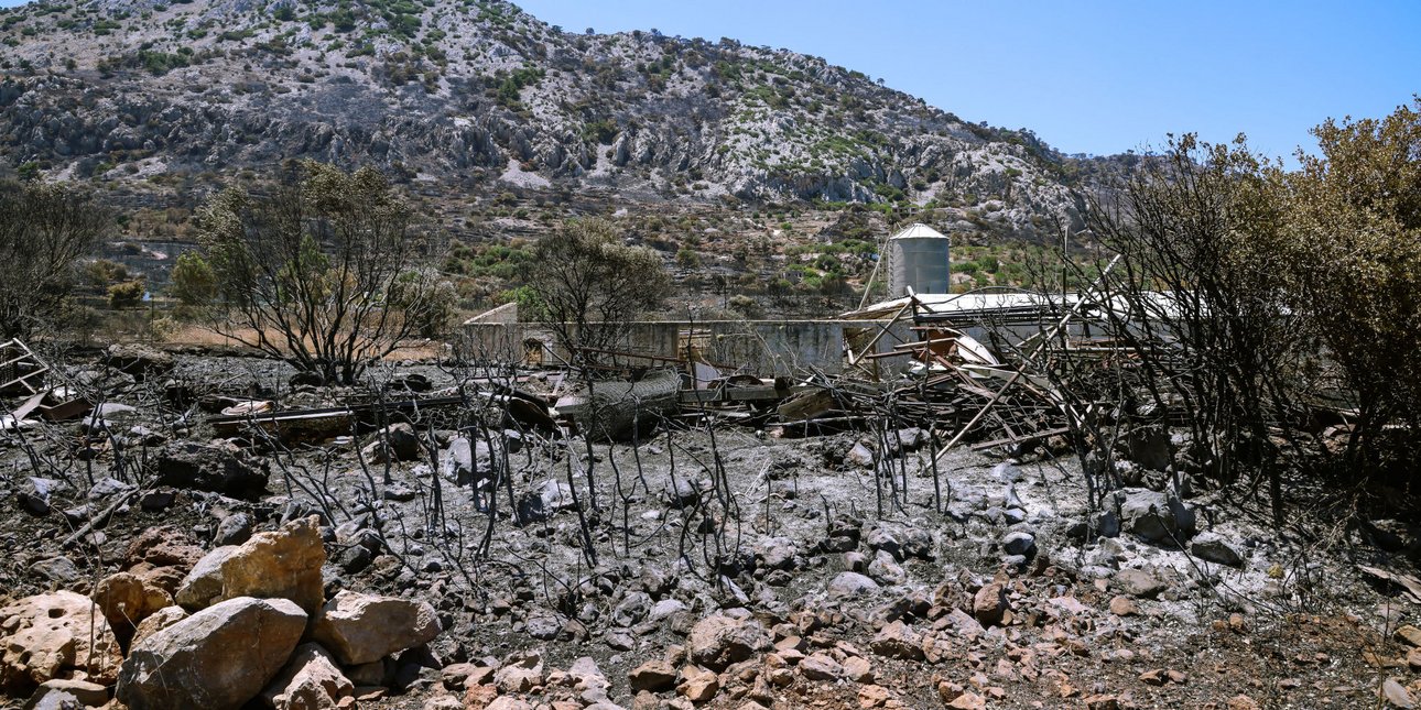 Φωτιά στη Χίο: Ποινή φυλάκισης 3 ετών και πρόστιμο 10.000 ευρώ σε ...