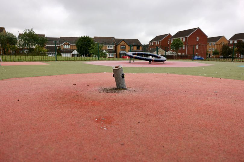 Residents angry over state of Cardiff park which council is refusing to ...