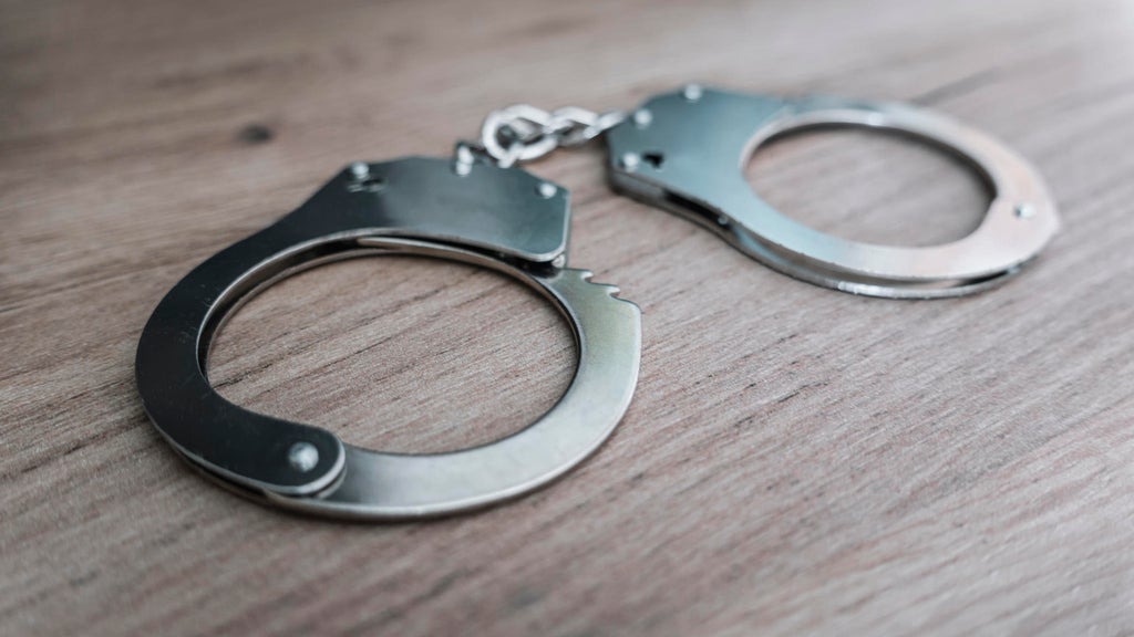 Metro Detroit teen accused of carjacking at Applebee's restaurant ...