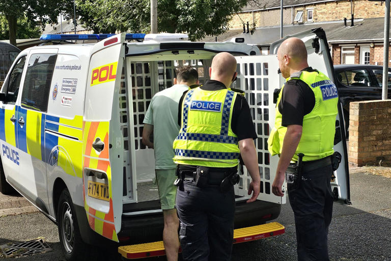 Cannabis farm discovered as police crack down on crime in Ashington and ...