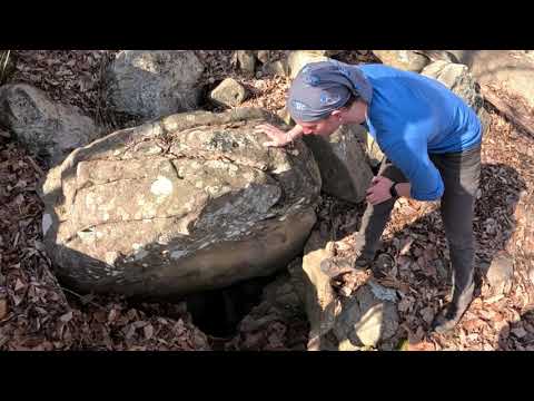 Hole in the Forest Opens Up Hundreds of Feet Deep