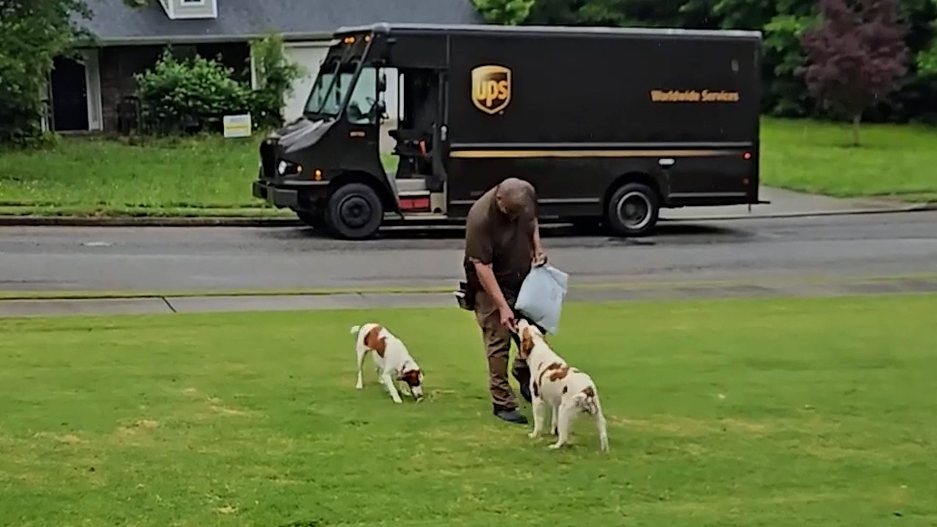 Watch UPS driver's emotional farewell to dogs on his last delivery stop