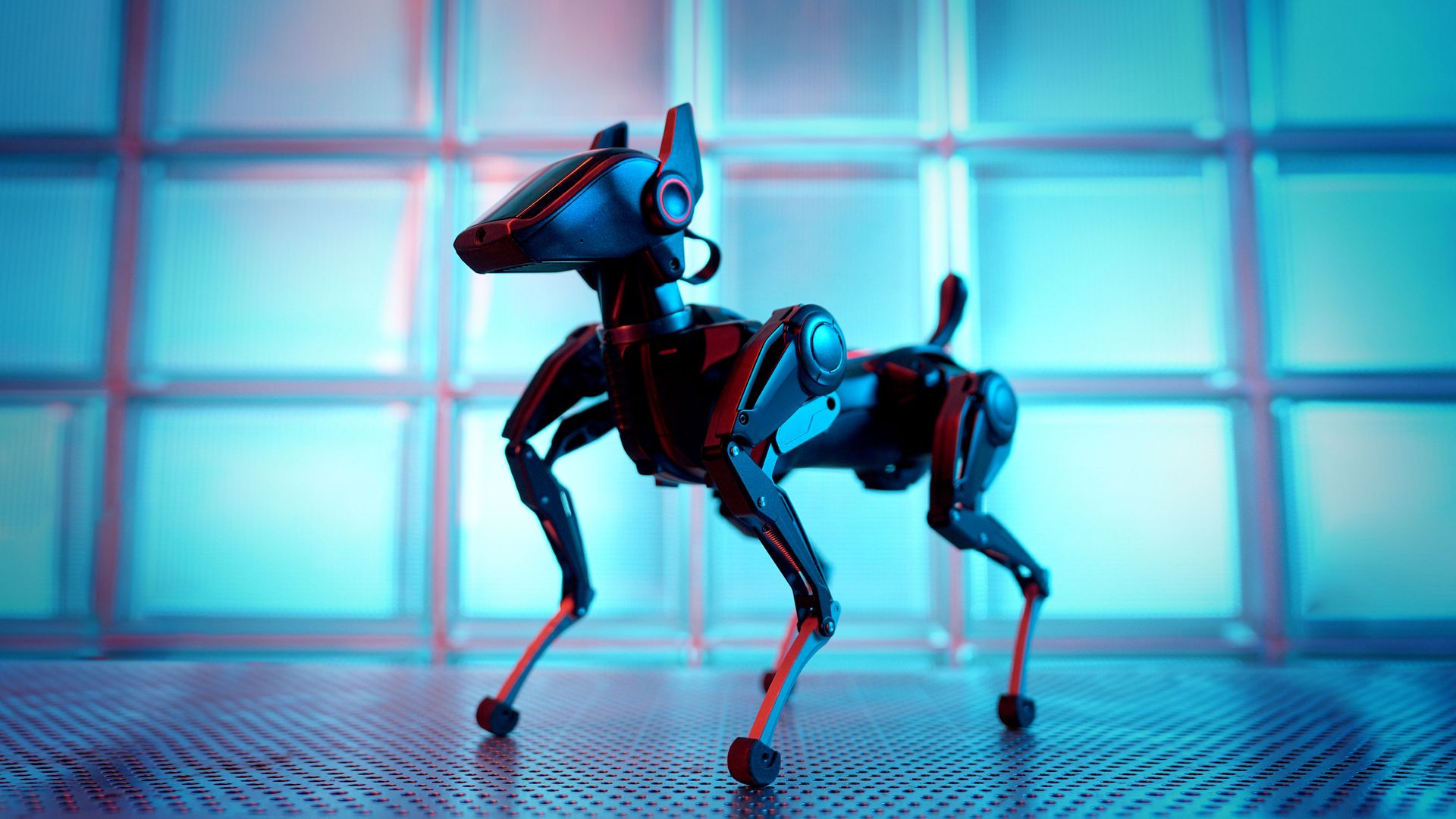 Would you swap your real-life pet for an AI-powered alternative? Meet ...
