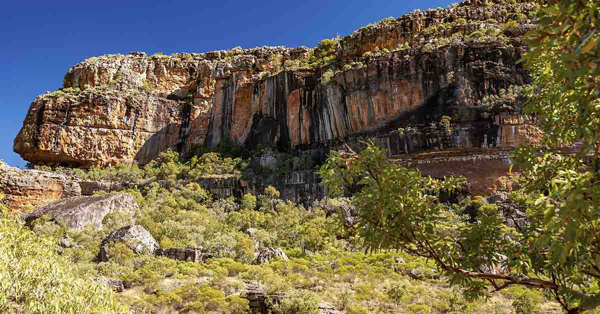 Tourists Rattled by Unnerving Scene at Iconic Site, Officials Urge Caution