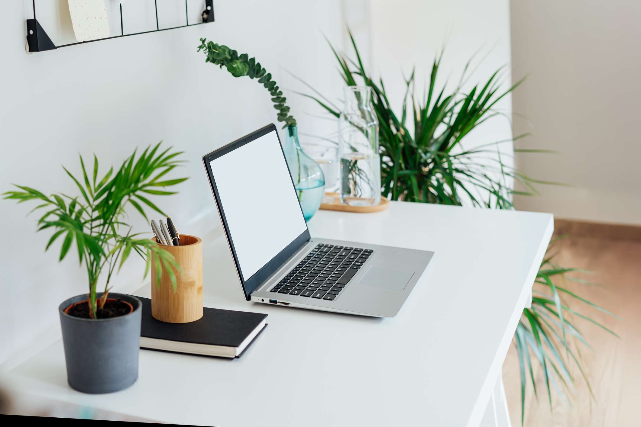 How to Clean Your Computer Screen for a Streak-Free Finish