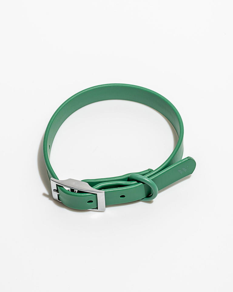 The 17 Best Dog Collars for Every Type of Stylish Pup