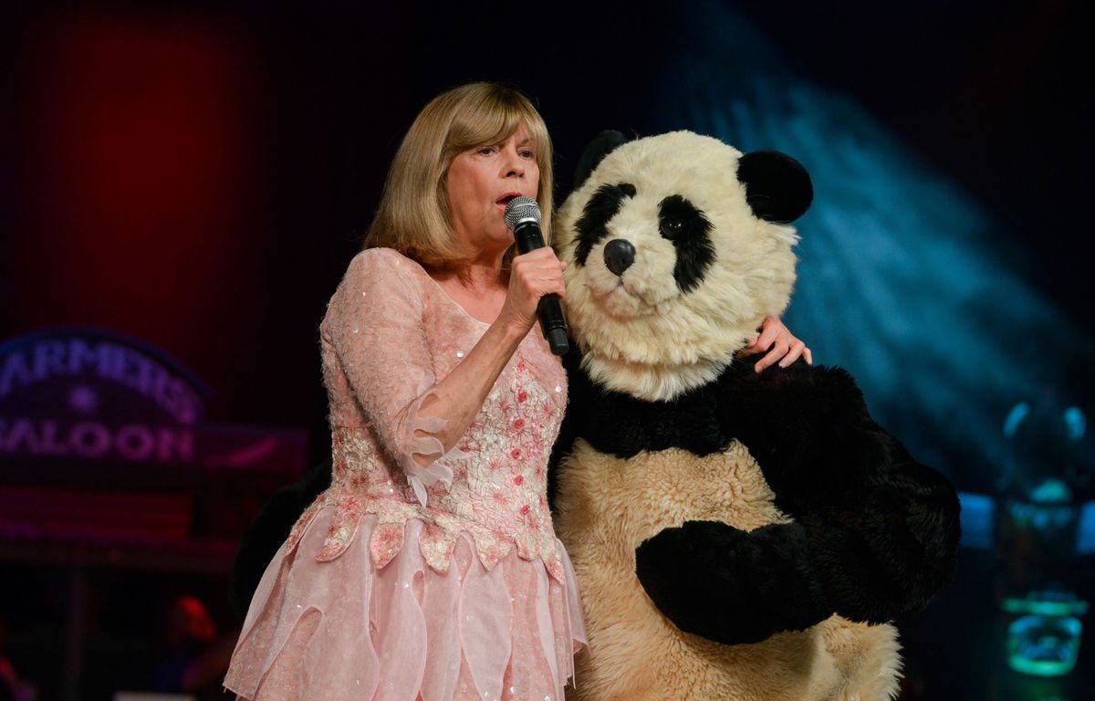 Alsace : Qui a pris le costume de Pandi Panda ? Chantal Goya lance un ...