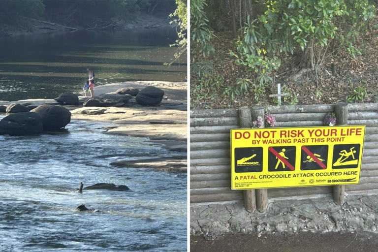Tourists Rattled by Unnerving Scene at Iconic Site, Officials Urge Caution