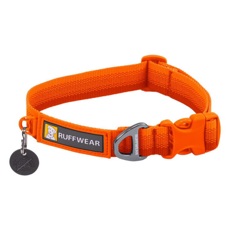 The 17 Best Dog Collars for Every Type of Stylish Pup