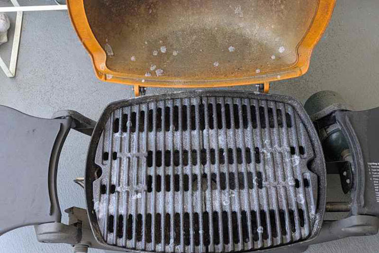 If You're Looking for a Sign to Clean Your Grill, This $5 No-Scrub ...
