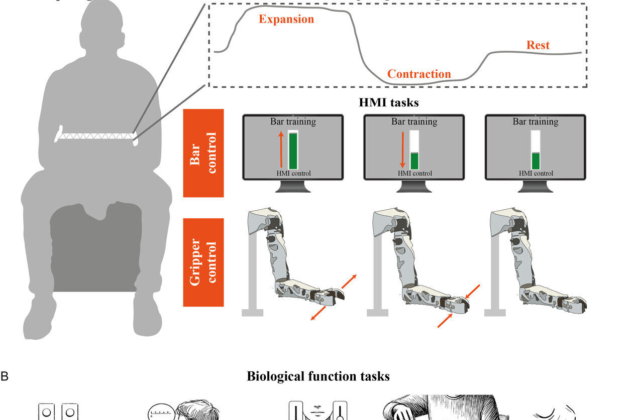 Exploring skill generalization with an extra robotic arm for motor ...