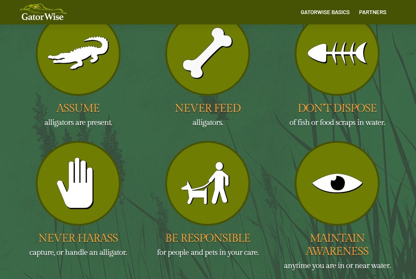 Florida alligator attack kills woman: New details released, FWC ...
