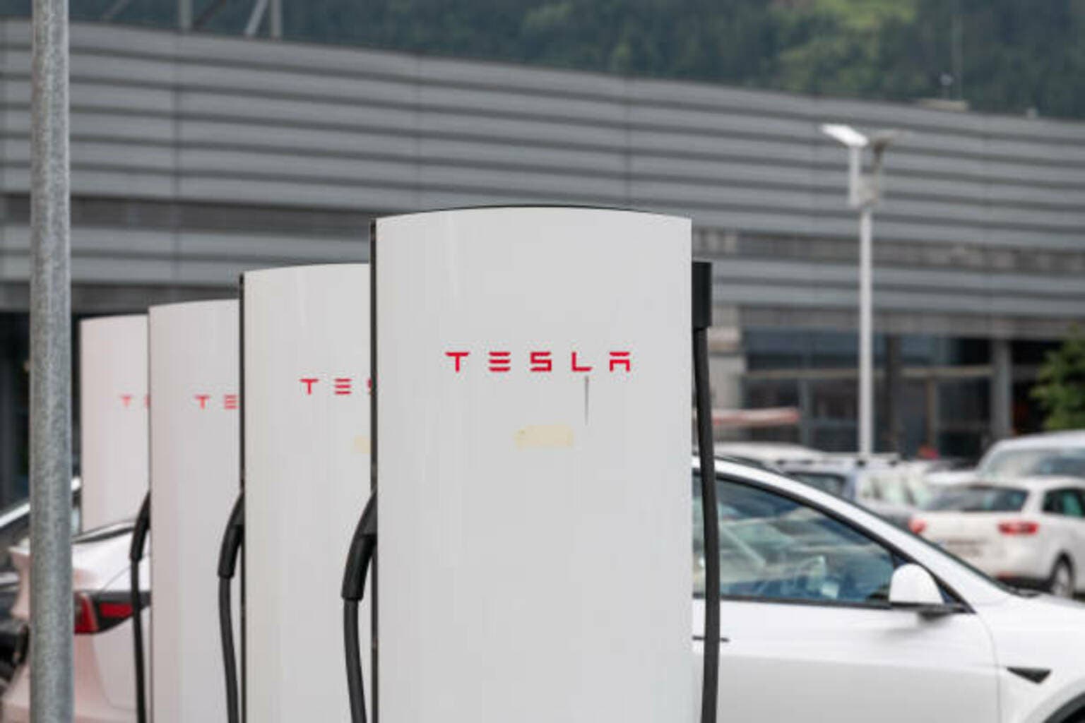 Tesla fires head of N. American, European operations - report