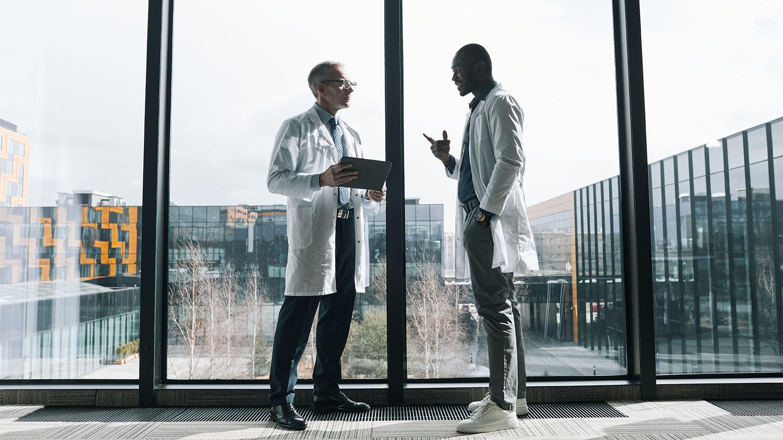 Where Can I Find Mentors in Medicine?