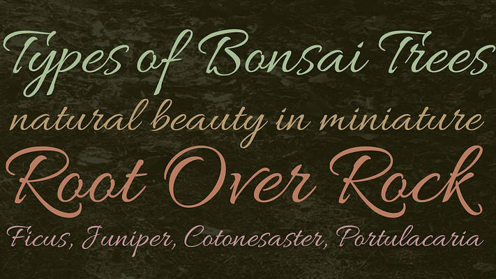 The best handwriting fonts to add personality to your designs