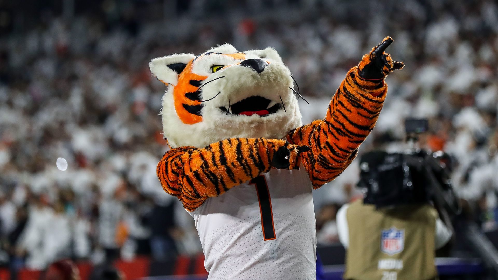 Bengals announce deal with Hamilton County on Paycor Stadium lease and ...