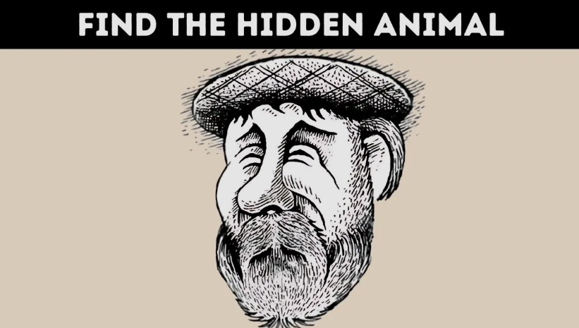 Optical illusion: Only a person with high IQ can spot the hidden animal ...