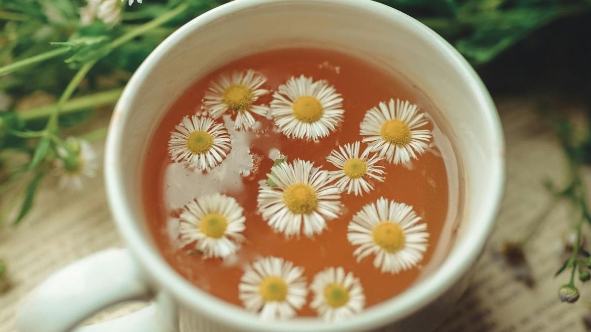 Tés para sentirte más ligero: 8 infusiones que calman el estómago y ...