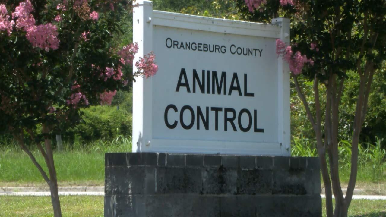 10-animal neglect case adds to Orangeburg shelter overcrowding issue ...