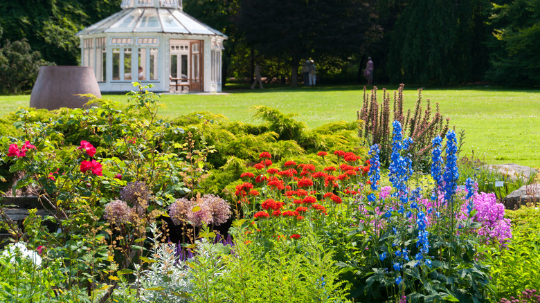 23 Beautiful Plants That Will Thrive In Clay Soil