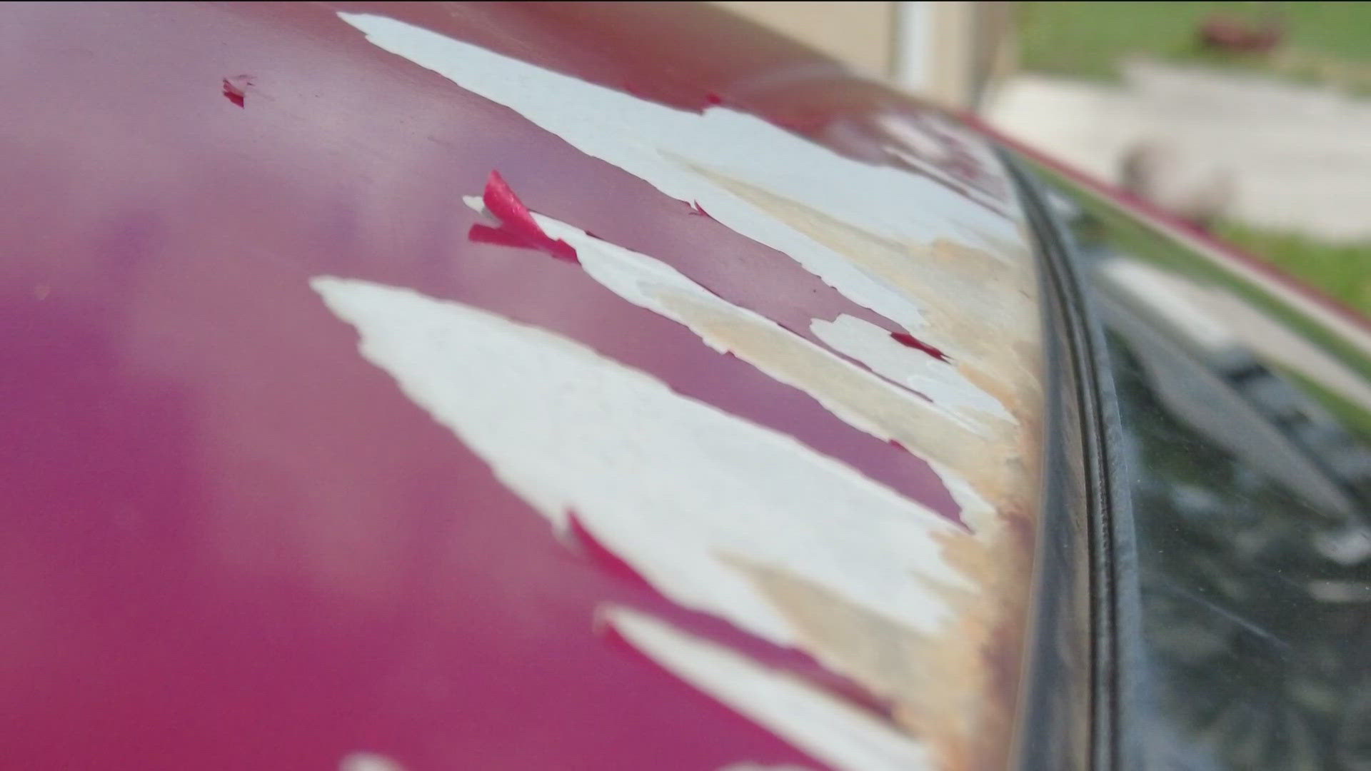 Thousands of drivers report car paint peeling off in sheets