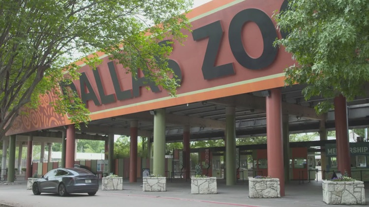 Dallas Zoo Dollar Days are coming back. Here's how to get $1 zoo tickets