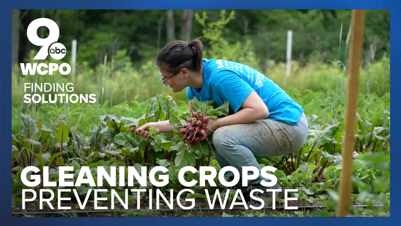 After his mom died, this part-time farmer gives away hundreds of pounds ...