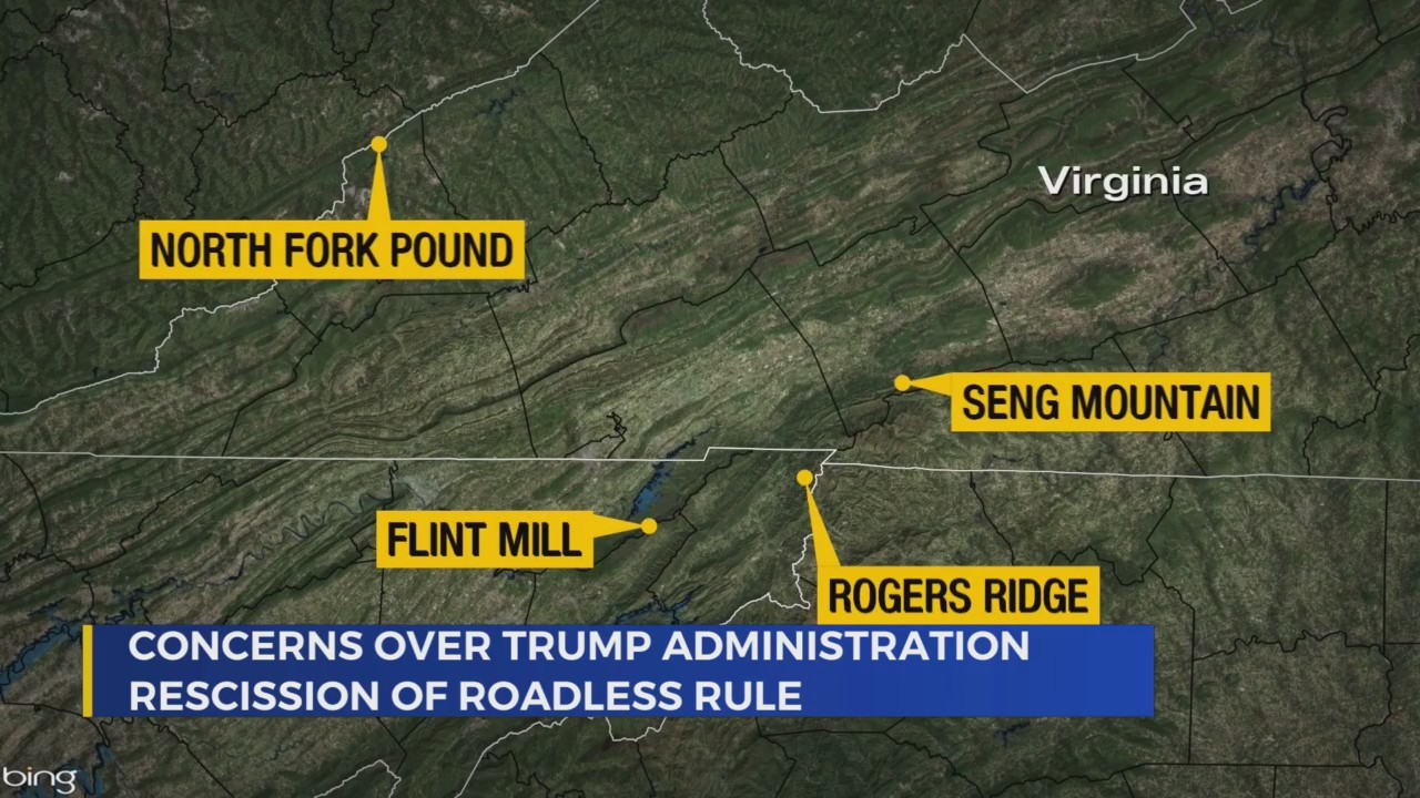 Trump admin bid would open 80,000 plus acres of area forest to road ...