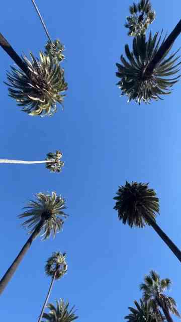 Capturing Wonder: The Magic That Happens Behind the Lens