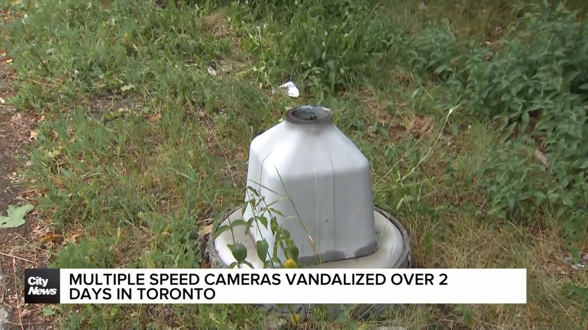 Multiple speed cameras vandalized over 2 days in Toronto