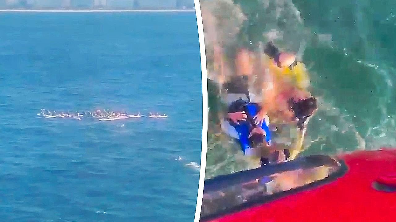 Over 70 paddleboarders rescued from 'cocaine shark' infested sea in Brazil