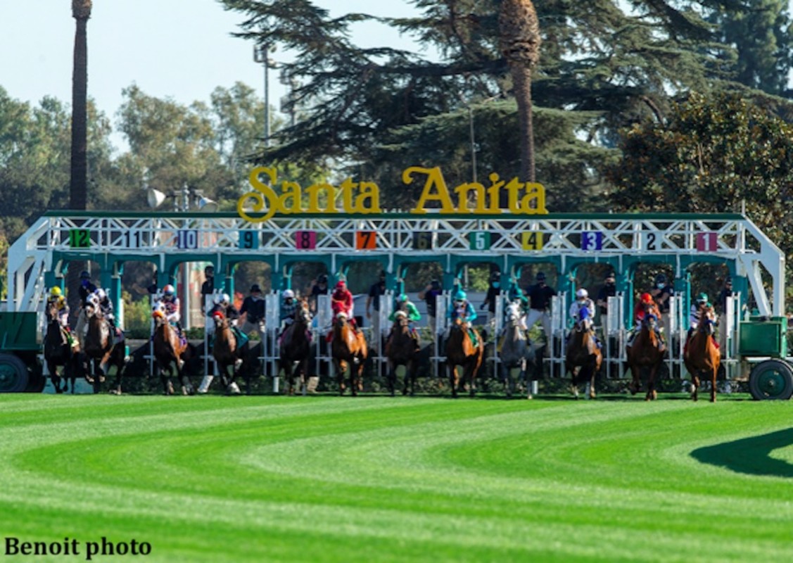 Santa Anita reschedules two turf stakes to Jan. 8