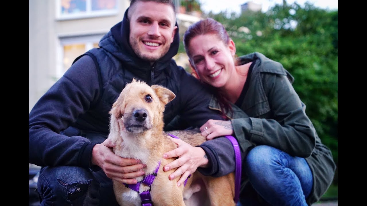 Dog That Lost Half His Face Meets His Family Again!