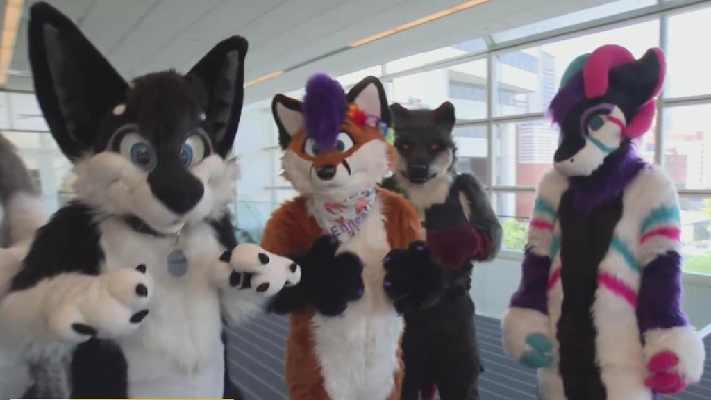 Furries raise nearly $90,000 for Pittsburgh-area cat rescue