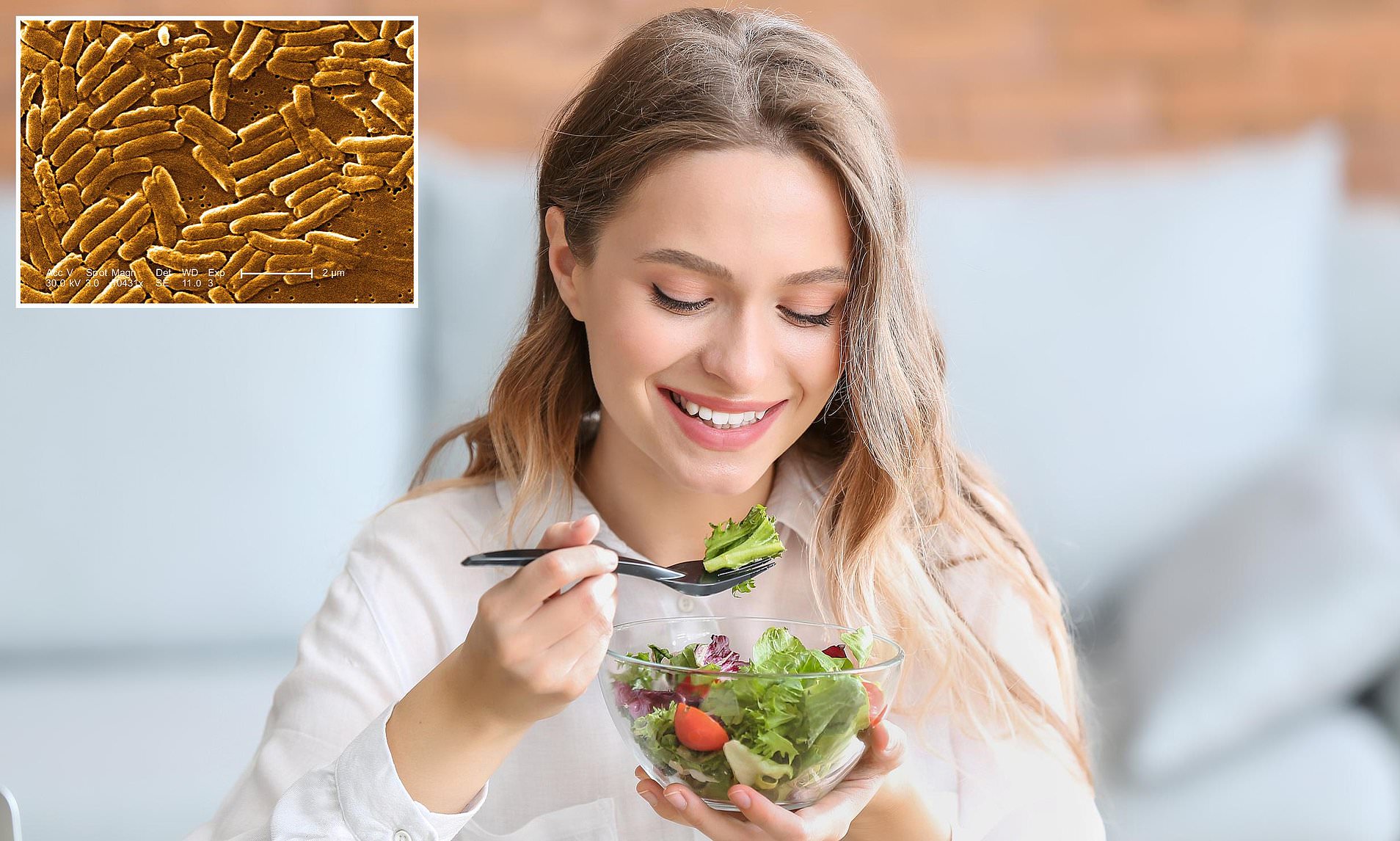 FDA issues most dangerous recall for salads that carry 'reasonable risk ...