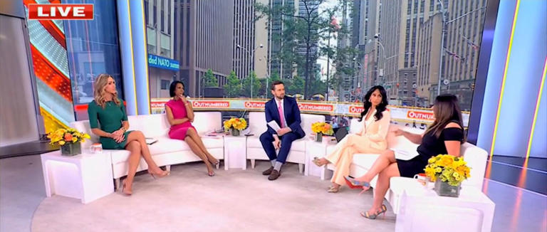 ‘Wait A Minute!’: Harris Faulkner Smacks Down Dem Panelist Who Claims ...