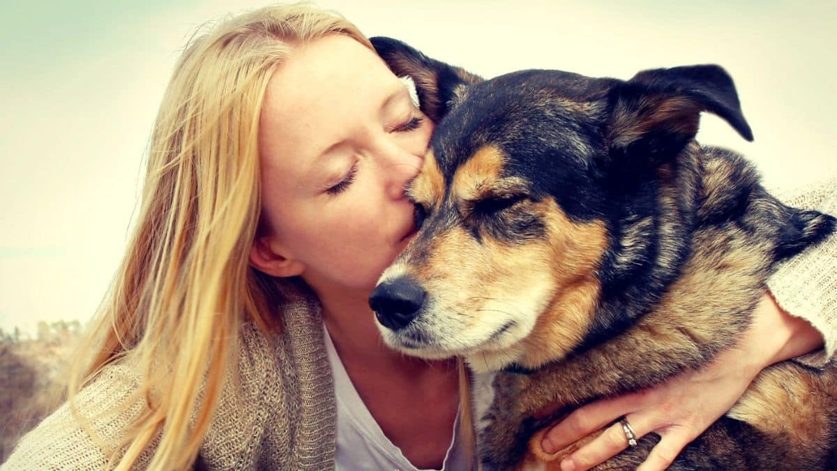 14 Animal-Loving Careers That Pay the Bills