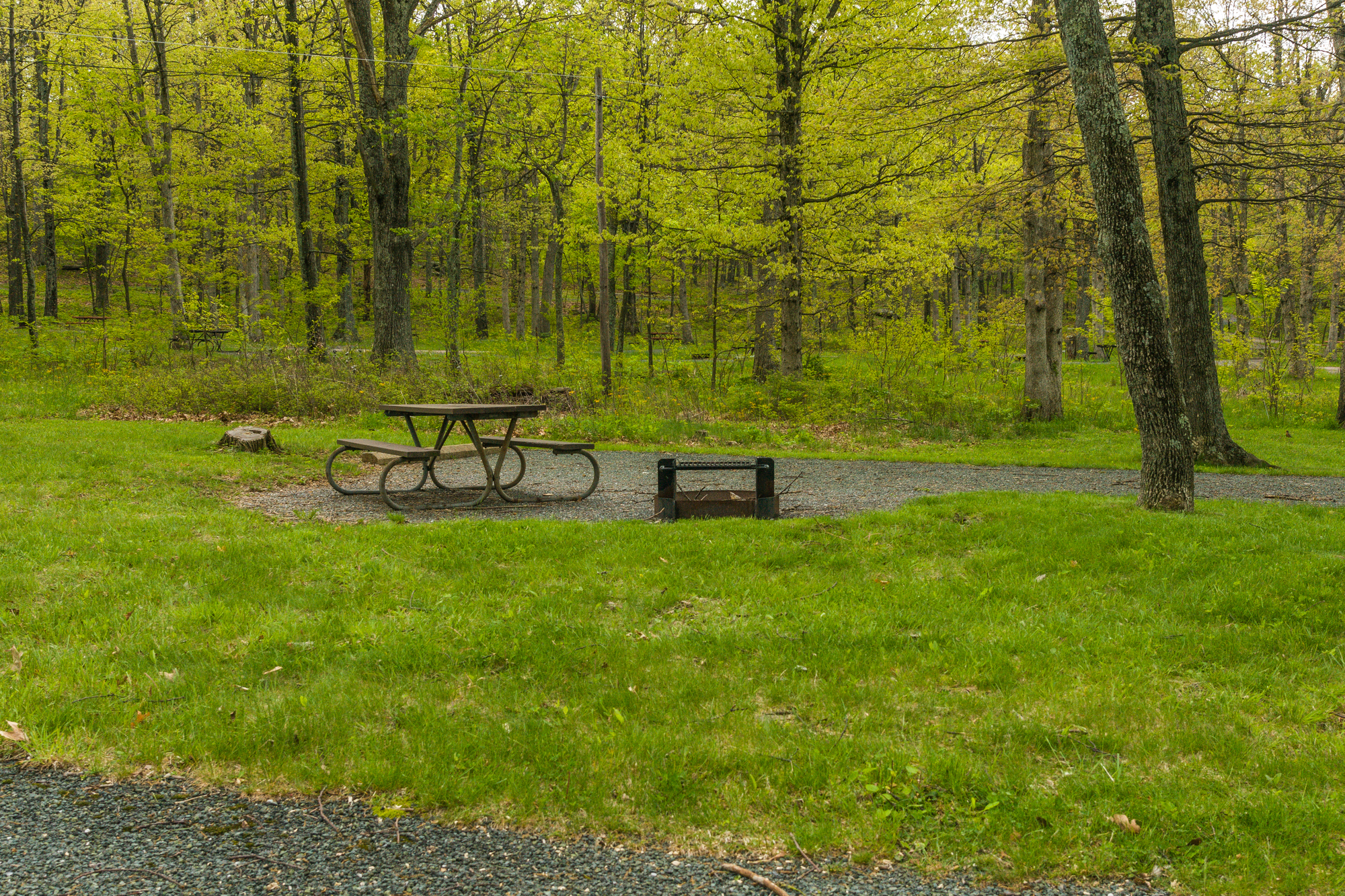 18 Best Campgrounds in National Parks