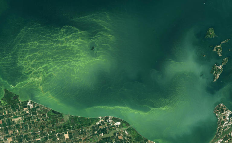 Toxic algae blooms are lasting longer in Lake Erie − why that’s a worry ...