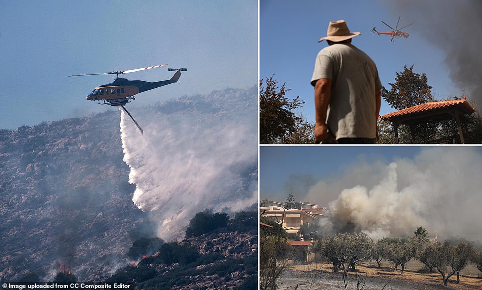 Dozens evacuated as forest fire rages near Athens