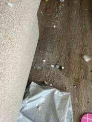 WATCH: ‘Fireball’ seen in Georgia, across the Southeast confirmed as meteor