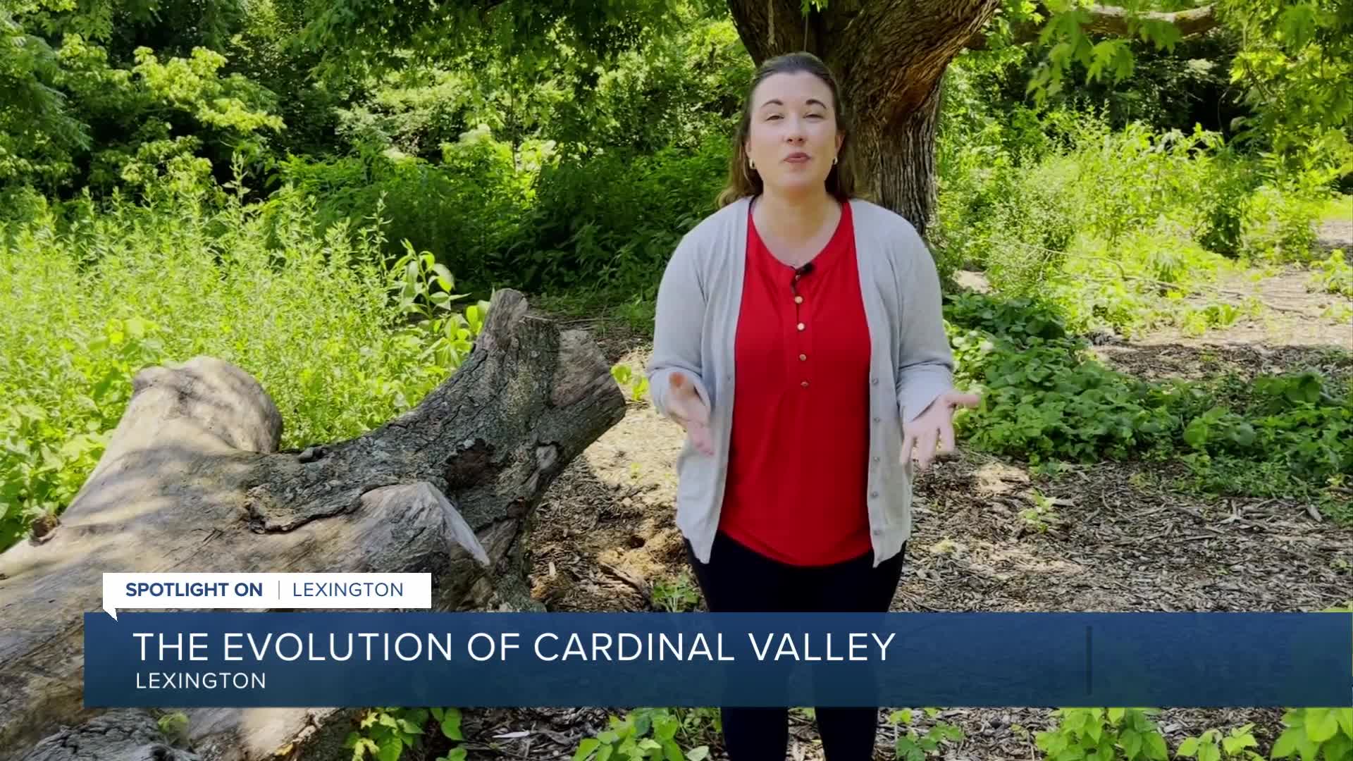 The Evolution of Cardinal Valley