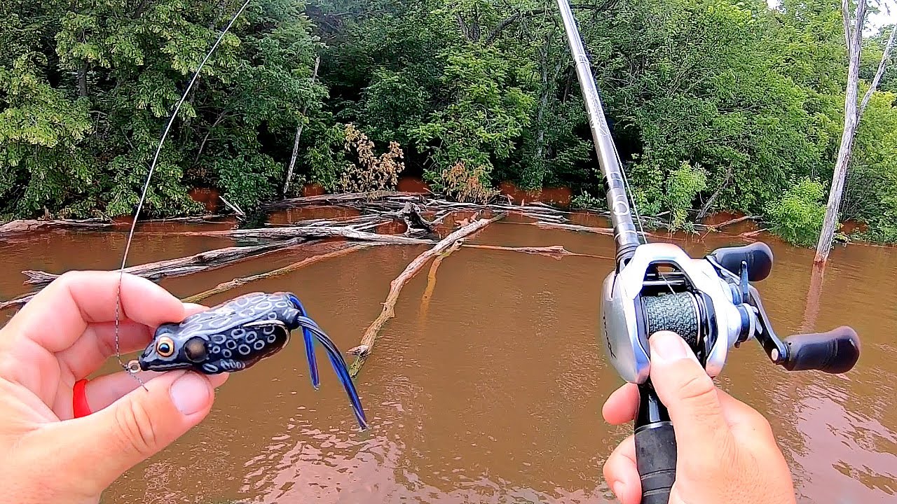 Fishing a Closed Lake After Historic Flooding