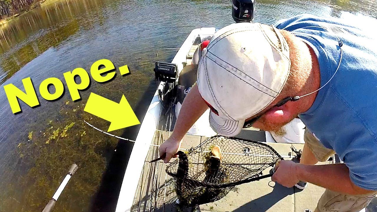 Top 7 Dangerous Fish Anglers Accidentally Hook