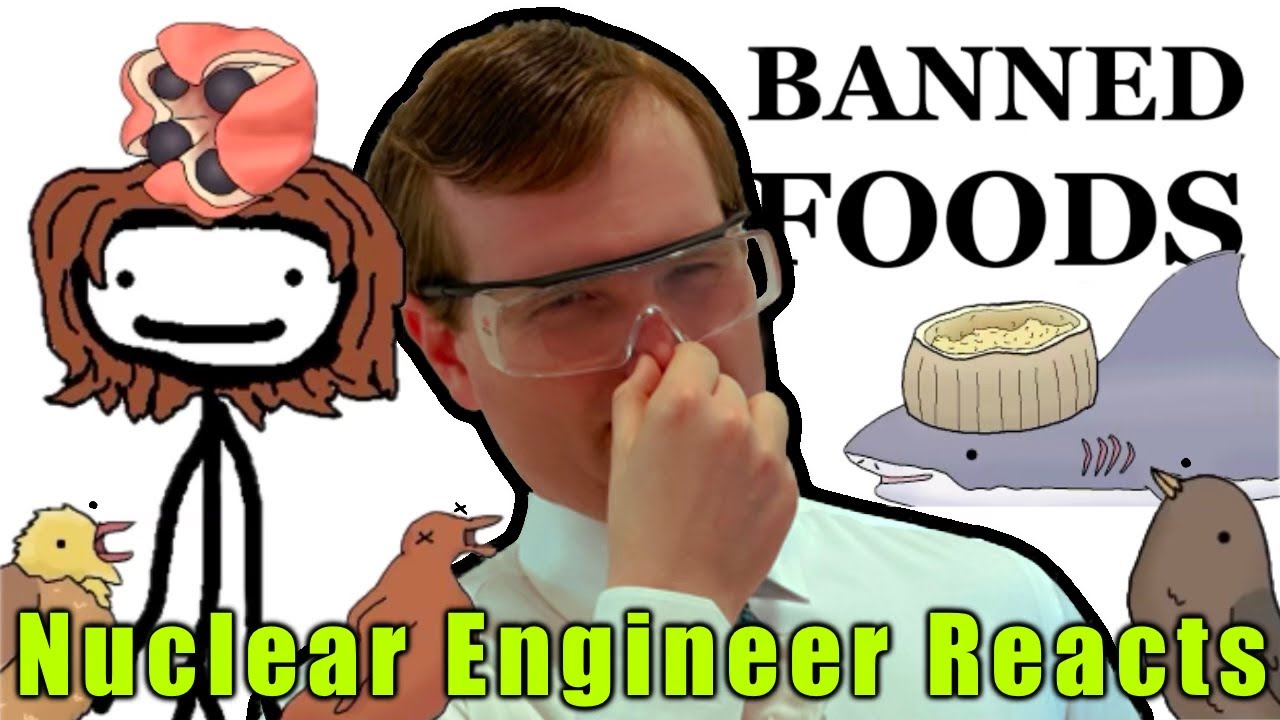 Nuclear Engineer Reacts to Sam O'Nella Academy: Banned and ...