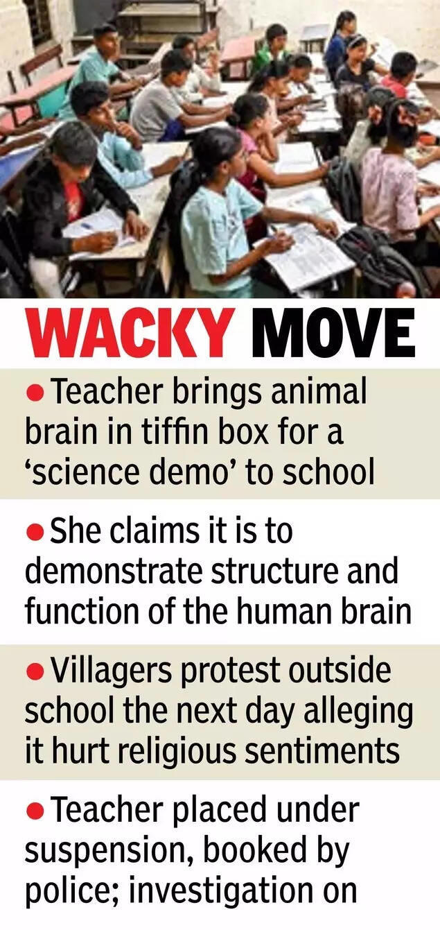 Biology teacher brings animal brain to class in Telangana: Students ...